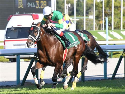 【次走】オジュウ撃破のタガノエスプレッソは暮れの中山大障害へ 競馬ニュース Netkeiba