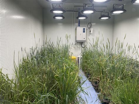 人工气候室的保养维护 知乎