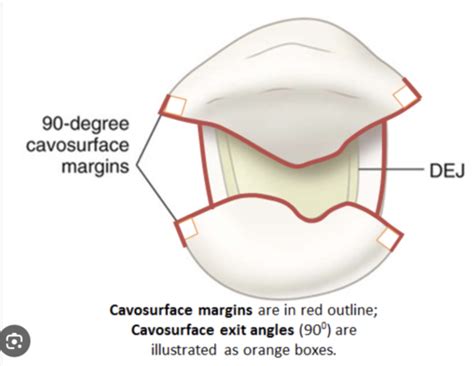 Review Session Flashcards Quizlet