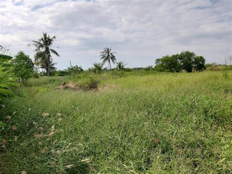 ขายที่ดินเปล่า 2 ไร่ สุวินทวงศ์ เพียง 30 นาทีจากกรุงเทพ Ennxo