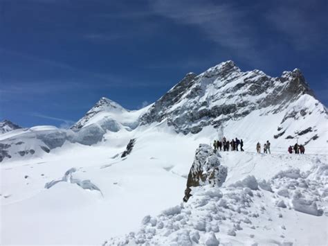 스위스 인터라켄여행코스 0517 융프라우vip패스 2일권으로 융프라우요흐 정상융프라우파노라마 스핑스전망대 알파인센세이션 얼음궁전 고원지대 네이버 블로그
