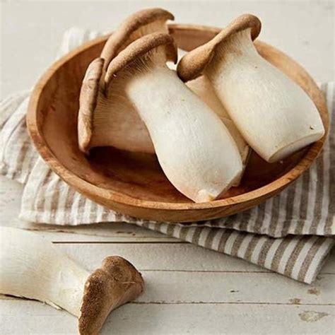 신선특별시새송이버섯300g봉 배민 장보기∙쇼핑