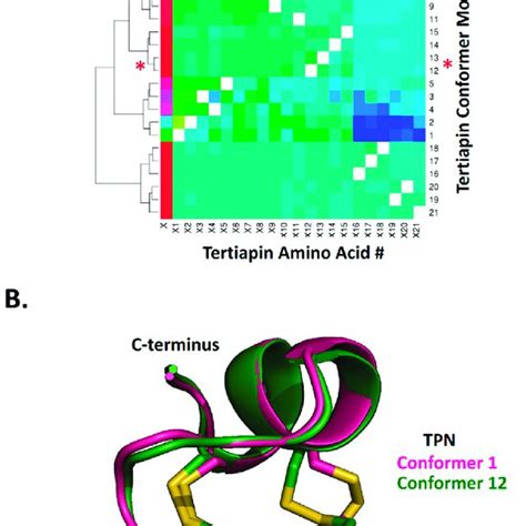 Hierarchical Clustering Of Nmr Derived Tpn Structural Conformers Based