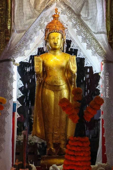 ປະກາດ ຄໍ່າຄືນທໍາອິດ ໃນການຫົດສົງ ພຣະບາງພຸດທະລາວັນ ຂໍອວຍພອນໃຫ້ທຸກທ່ານ ມີແຕ່ຄວາມສຸກ ຄວາມຈະເລີນ