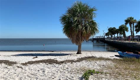 Cedar Key Public Beach Actualizado 2026 Qué Saber Antes De Ir Con