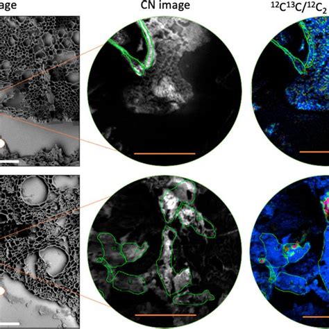 Nanosims Revealed Different Patterns Of 13 C Distribution In C