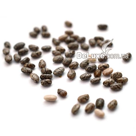 Семена чиа купить для правильного питания Делюкс