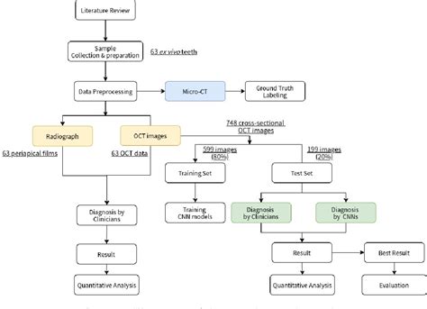 Figure 1 From Deep Learning For Caries Detection Using Optical Coherence Tomography Semantic