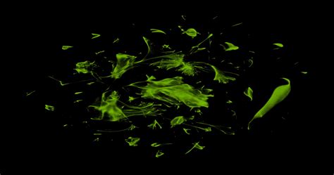 Single Cell Analysis Blueprint By Nvidia Nvidia Nim