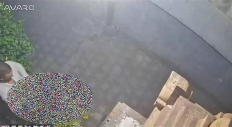 Tourist And Woman May Face Jail Over ‘sex Act In Front Garden As They