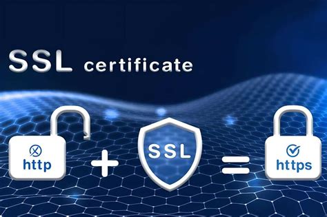 Популярные типы Ssl сертификатов и как выбрать подходящий