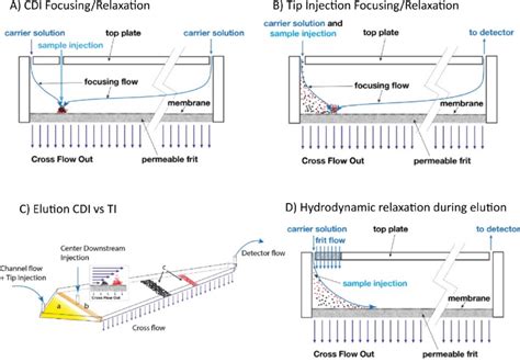 Schematic Representation Of The Three Available Focusingrelaxation In