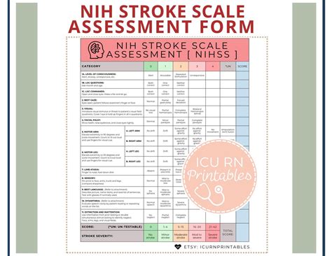 Nih Stroke Scale Assessment Form Nihss Printable Pdf Download Etsy