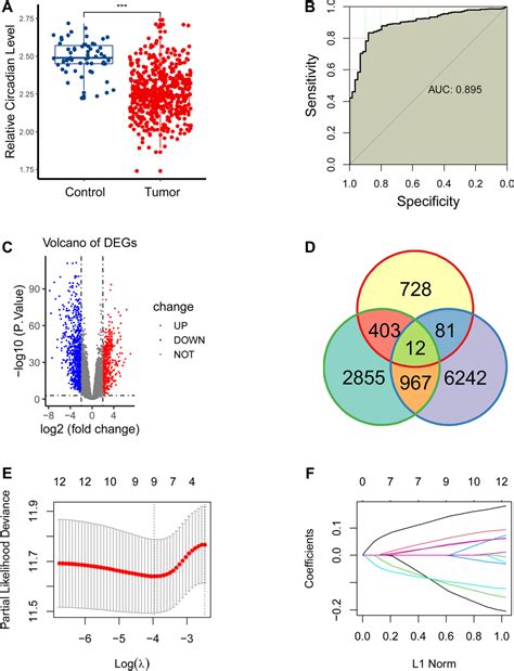 Figure 1 From A Circadian Rhythm Related Biomarker For Predicting Prognosis And Immunotherapy