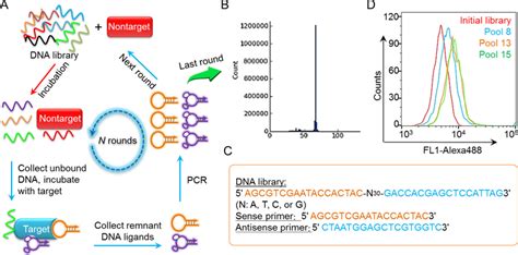 Aptamer Based Targeted Therapy Pmc