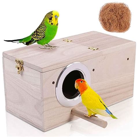 10 Best Cockatiel Nest Boxes For Happy And Healthy Birds A