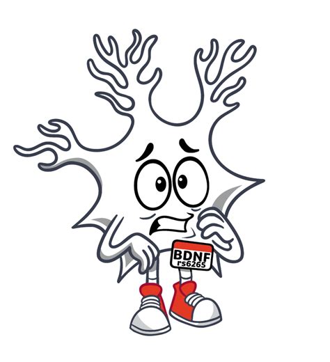 Bdnf Fagron Genomics Us