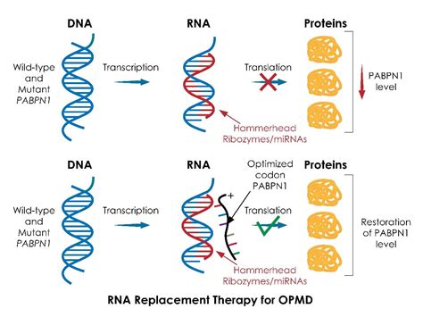 Crispr Biotech Engineering On Linkedin Genetics Genomics Gene Biotech Biotechnology