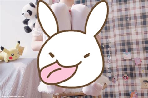 更新3套小蔡头喵喵喵 Yintcoin