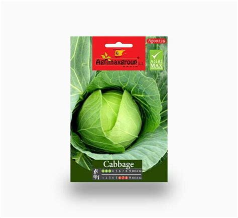 Cabbage Seedsgrow Vibrant Gardens With Top Quality Cabbage Seeds