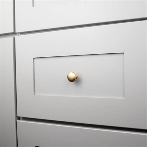 Hickory Hardware Transitional 1 18 In Brushed Brass Mushroom