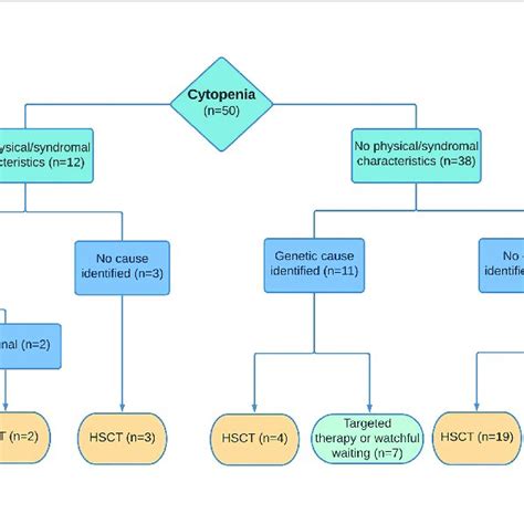 Diagnostic Outcome And Management Results Of The Diagnostic Pipeline Download Scientific