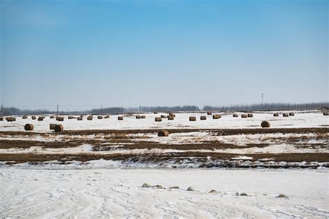 맑은 푸른 하늘 아래 건초 베일이 있는 눈 덮인 들판 · 무료 스톡 사진