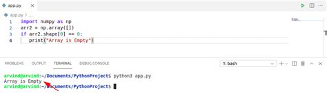 Check If NumPy Array Is Empty In Python Examples Python Guides
