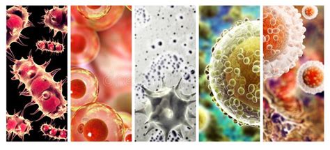 Collection Of Horizontal Or Vertical Banners With Pathogenic Bacterias And Viruses Virus Under