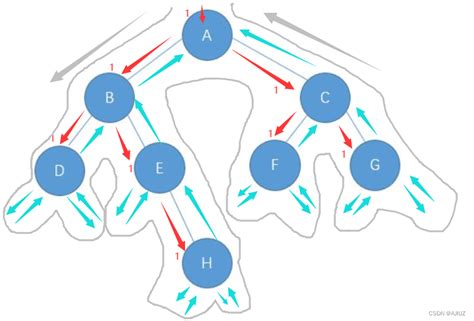 二叉树基本规律及其遍历二叉树的建立、遍历、求高度、求叶子结点、度为2的结点、度为1的结点个数等基本注 Csdn博客