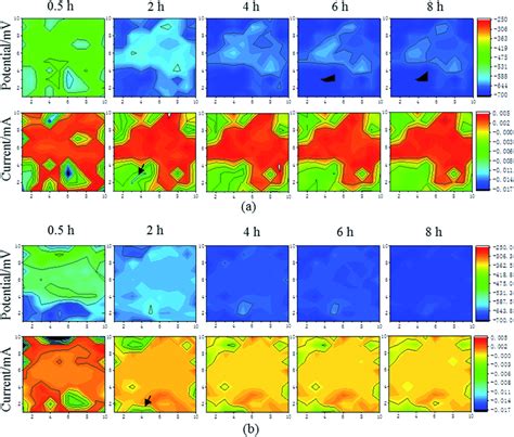 The Corrosion Potential And Galvanic Current Distribution Maps Of The Download Scientific