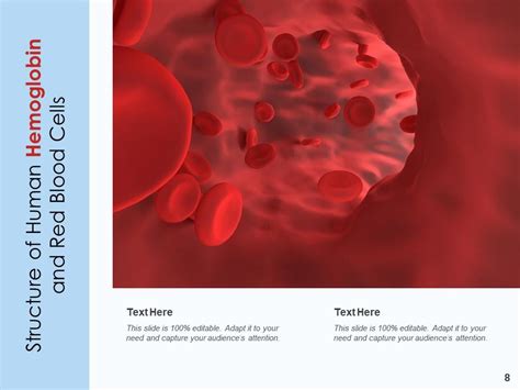 Hemoglobin Representing Description Structure Measuring Laboratory Presentation Graphics