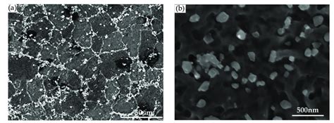 Microstructure Of Tib2 7050 Al Composite A Sem Images Shows The Download Scientific Diagram