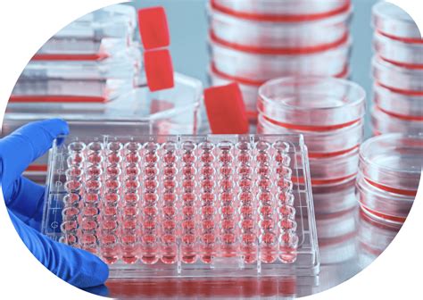 Cell Culture Media Nu Tek Biosciences