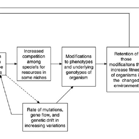 Darwinian Selection As Conceived By The Modern Synthesis Note All Download Scientific Diagram