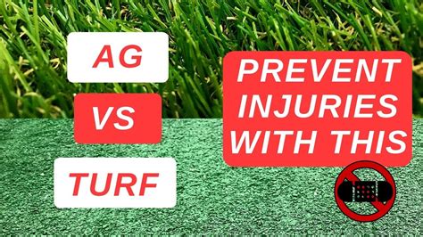 Whats The Difference Between Turf And Artificial Grass
