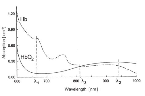 Shows An Alternative To The Above Described Polarization Filtering Download Scientific Diagram