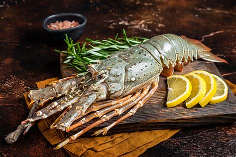 요리 생 해산물을 위한 허브가 있는 나무 도마에 신선한 가시 랍스터 어두운 배경 상위 뷰 갈고리 발톱에 대한 스톡 사진 및 기타 이미지 Istock