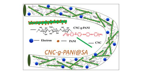 Flexible Conductive Fibers From Alginate Cellulose Nanocrystals And Polyaniline By Wet