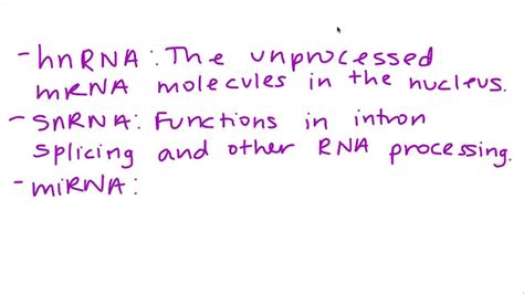 Solved What Is The Difference Between Hnrna Snrna Mirna Sirna And