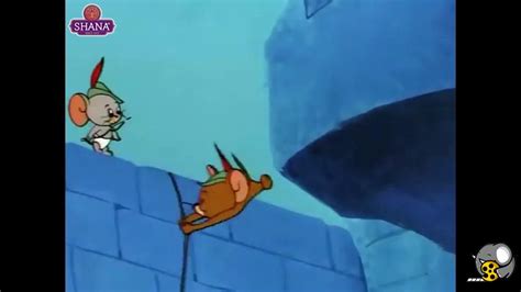 کارتون موش و گربه فیلو