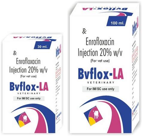 Bvflox Enrofloxacin Injection For Clinical Packaging Size 30 Ml At Rs 390 In Ambala