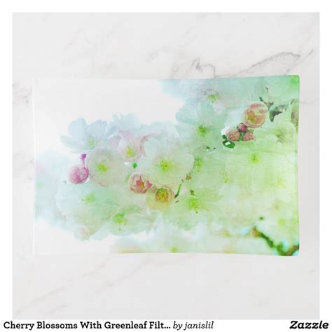 Cherry Blossoms With Greenleaf Filter Trinket Tray Zazzle