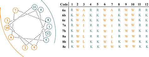 Figure 1 From Structure Based Rational Design Of Small α Helical Peptides With Structure Based