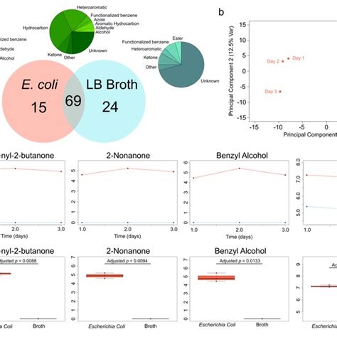 Volatilome Characterization Using The In Vitro Biodome Sampling Tool