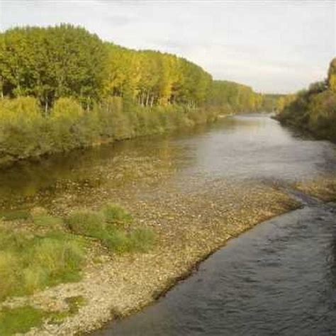 Felipe Lisboa Youtube