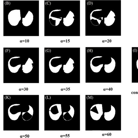 The Process Of Contour Correction With Different α Values A Lung