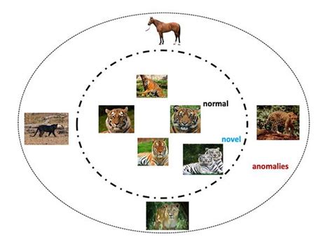 Pyimagesearch Blog Zh Docs Anomaly Detection With Keras Tensorflow And