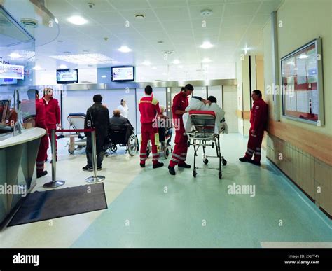 Administration And Documentation For Diagnosis In An Hospital Administration And Documentation