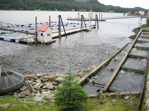 Descubre Los Secretos De Juneau Alaska 20 Experiencias